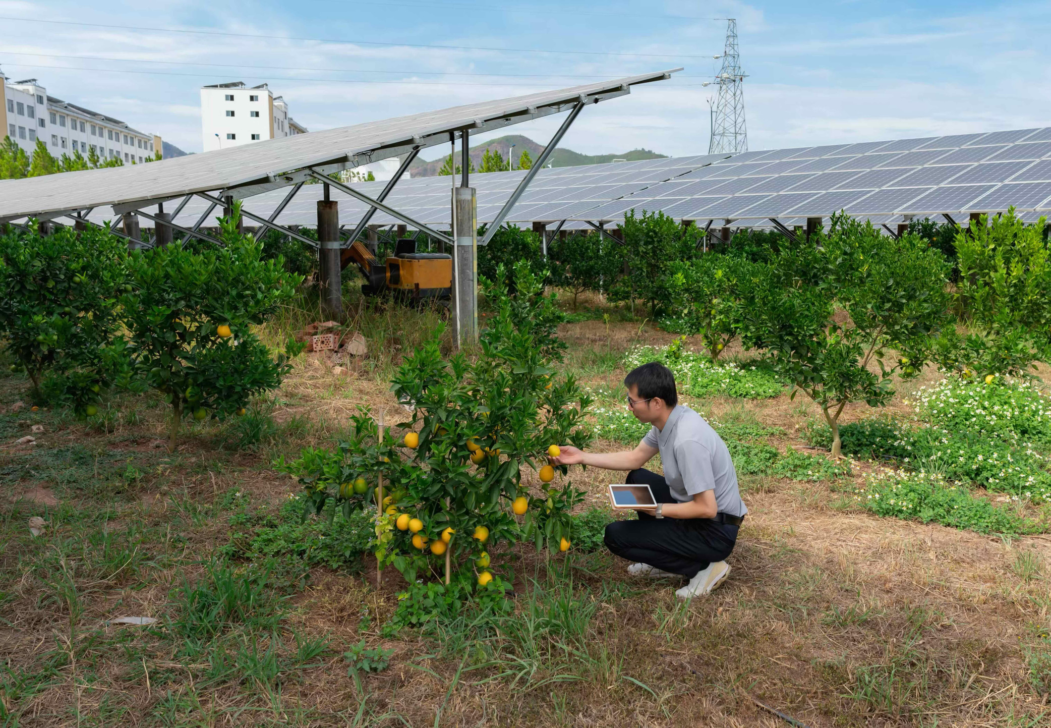 2025 Global Climate Challenge | MIT Solve