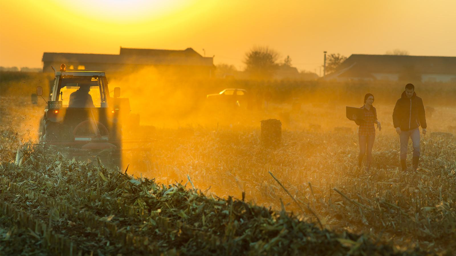 Sustainable Food Systems | MIT Solve